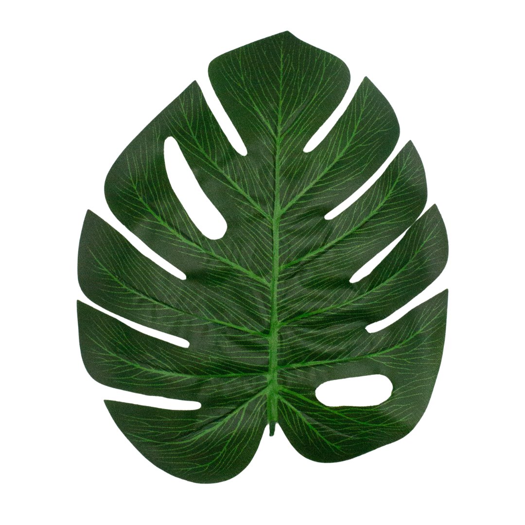 Green Monstera Tropical Leaves (12-Pack) – Ellie's Party Supply