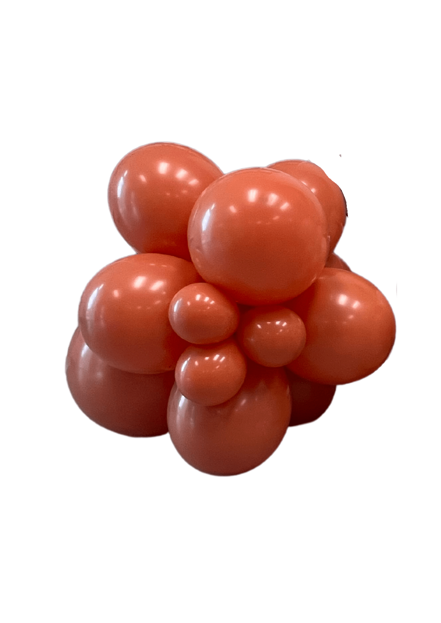 Premium Burnt Orange Terracotta Latex Balloon Cluster (5", 11”, 17 ...