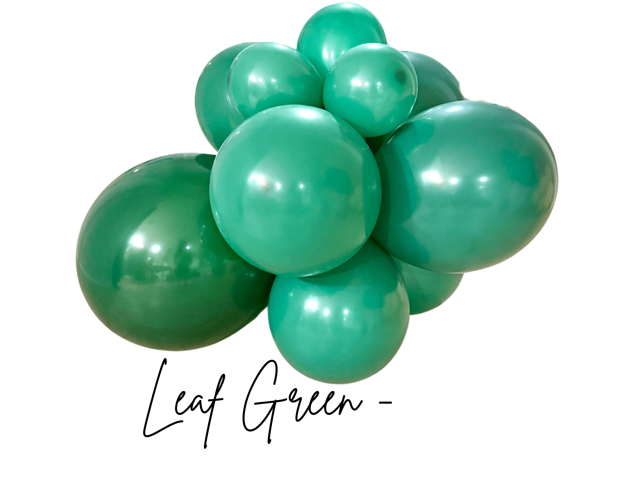 Premium Leaf Green Latex Balloon Cluster (5", 11”, and 17") from Ellie ...