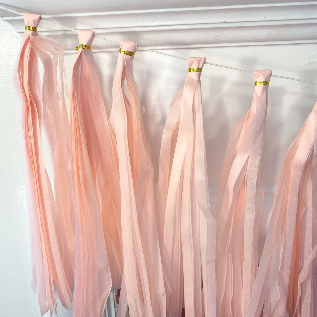 Pastel Pink Paper Tassel Tail DIY Garland Kit at Ellie's Party Supply